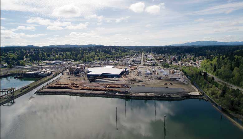 Into the Woods: This Outsider Company Sees a Revival in Washington's ...