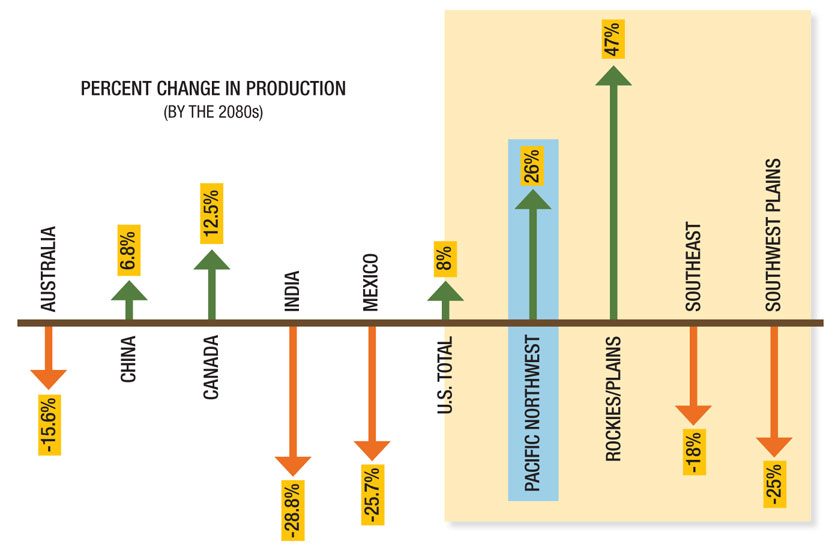 The Effects of Global Warming on Agriculture - Seattle Business magazine