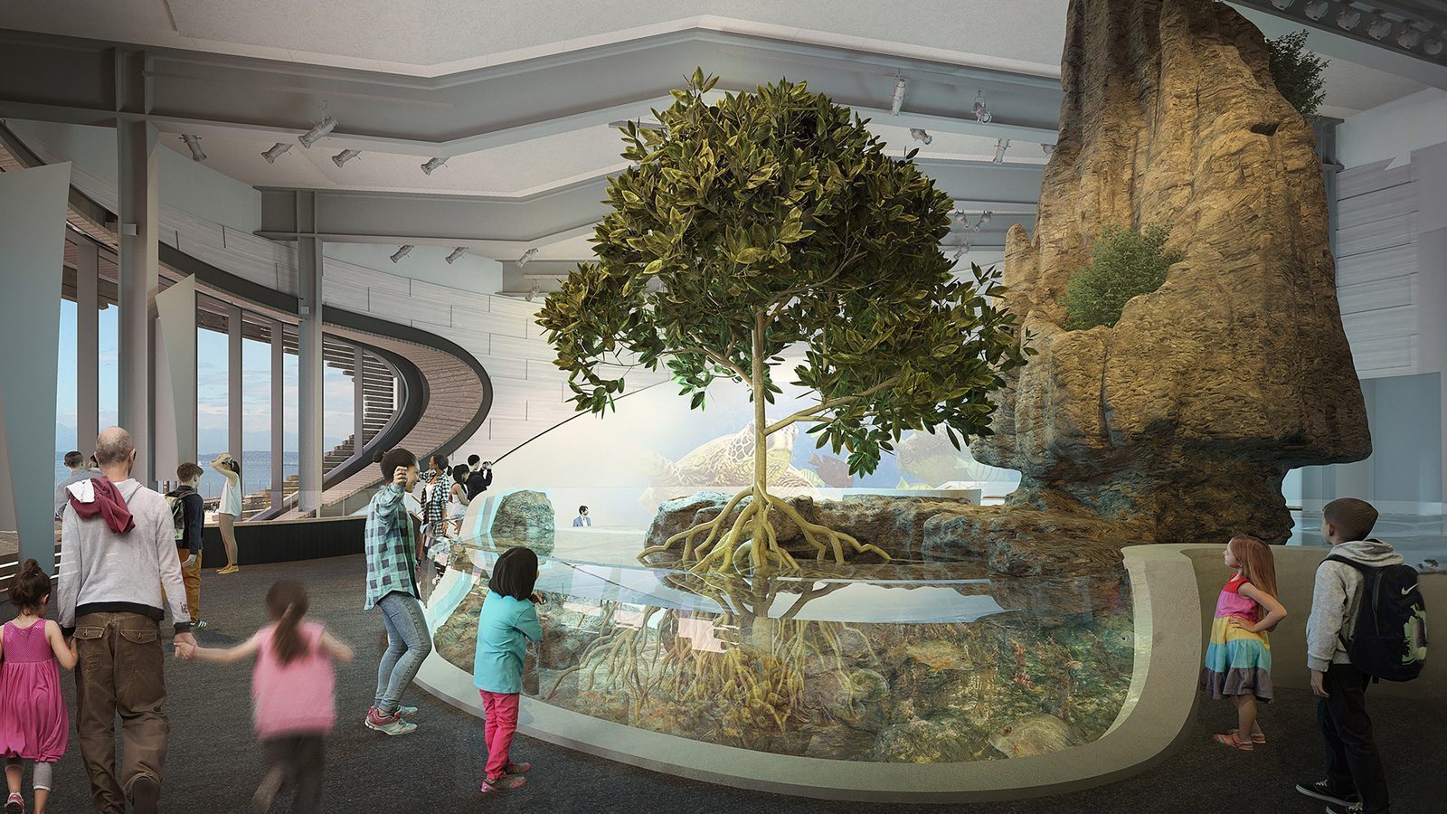 Seattle Aquarium’s Ocean Pavilion To Open This Summer - Seattle ...